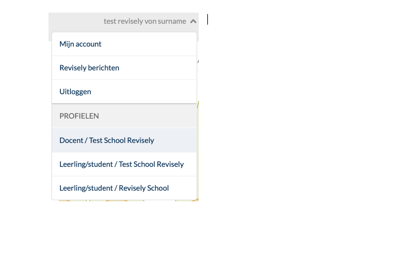 Revisely Het dashboard - Revisely